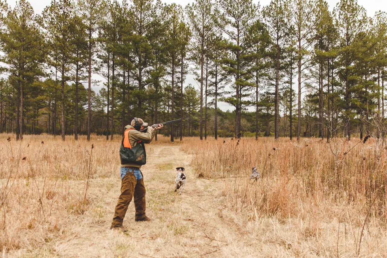 Hunting - SELWOOD FARM